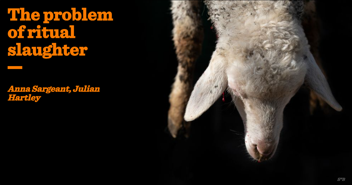 The Ritual Slaughter Debate: Animal Welfare, Consumer Rights, Religious ...
